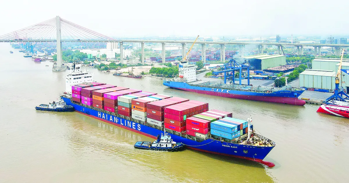 Phát triển đội tàu biển quốc gia, việc phải làm ngay: Vận tải biển “èo ...