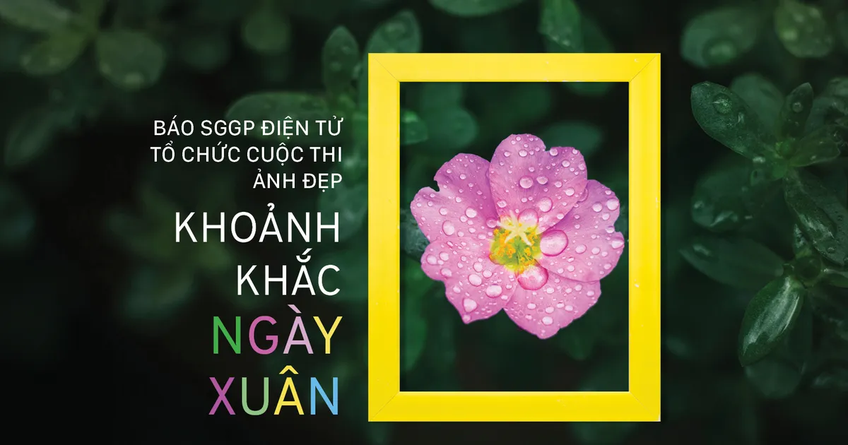 Công bố giải cuộc thi ảnh Khoảnh khắc ngày xuân của Báo SGGP Điện tử ...