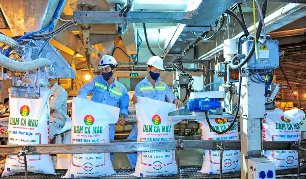 DCM đã qua đáy lợi nhuận? | Báo Sài Gòn Đầu Tư Tài Chính