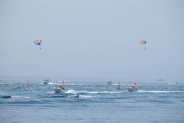 Cham Island Biosphere Reserve marks its 7th anniversary | SGGP English ...