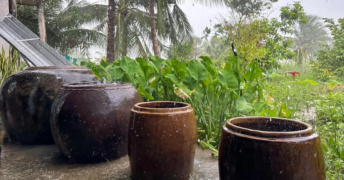 Cái lu, cái khạp | BÁO SÀI GÒN GIẢI PHÓNG