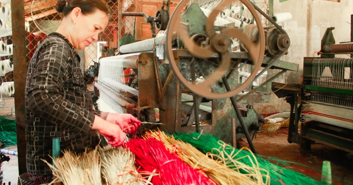 Giữ nghề dệt chiếu truyền thống Thu Xà | BÁO SÀI GÒN GIẢI PHÓNG