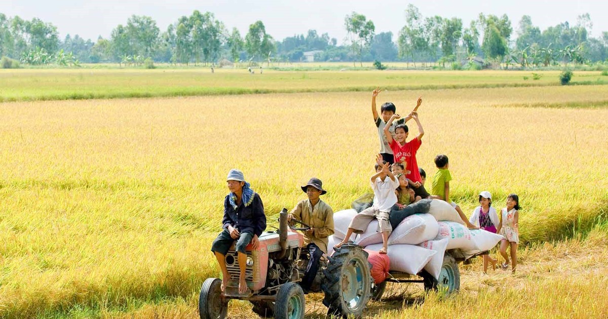 Emergence of new generation of rich farmers | SGGP English Edition