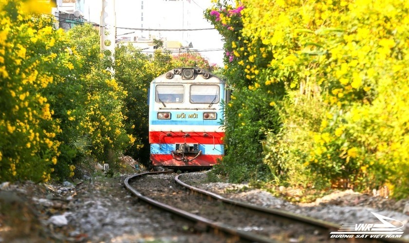 Campaign to plant flower trees along streets on both sides of railways ...