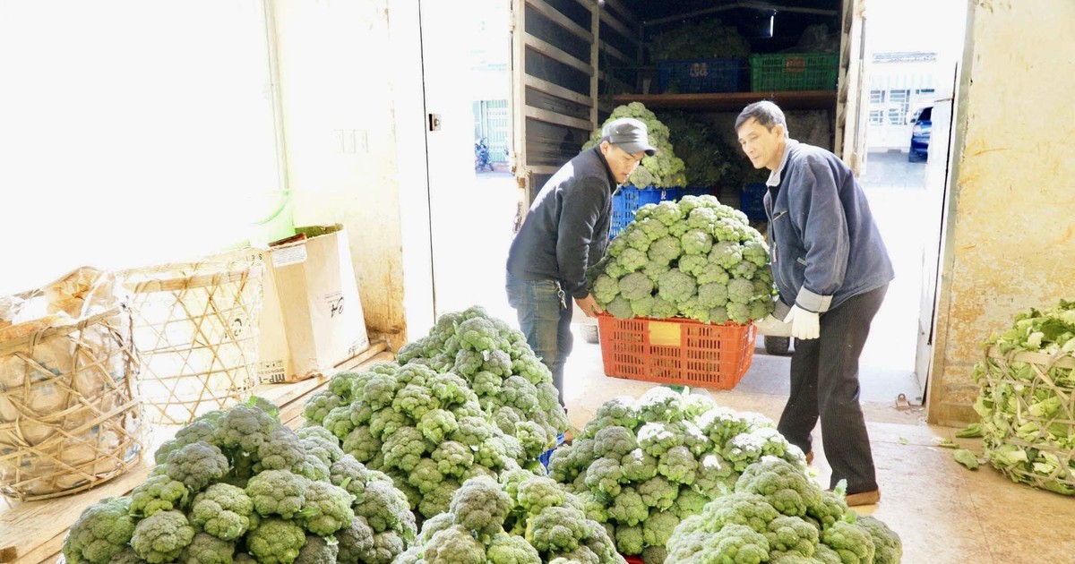 Vietnamese enterprises face challenges in building brands for their goods | SGGP English Edition