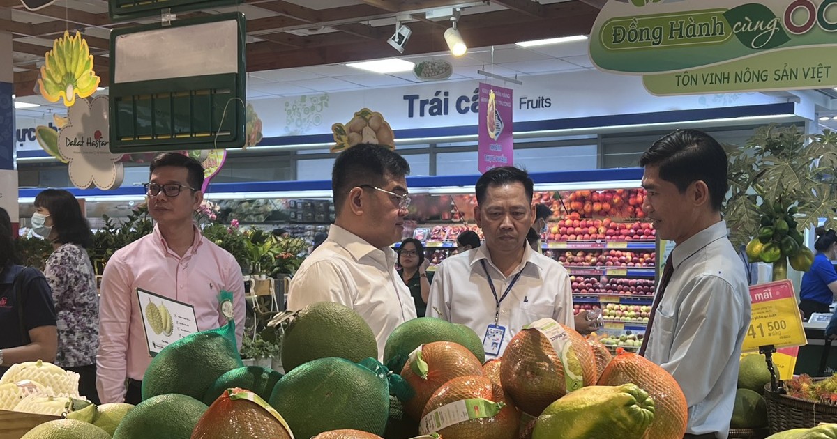 500 Vietnamese OCOP agricultural products honored | SGGP English Edition