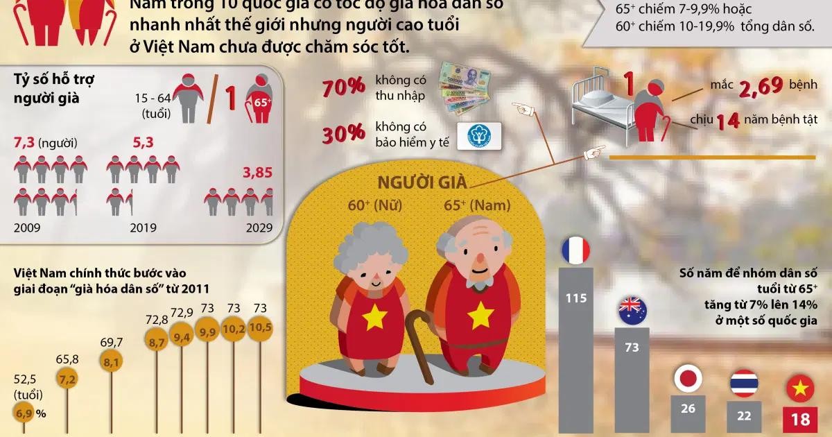 Ho Chi Minh City's population aging at fastest rate in Vietnam | SGGP ...