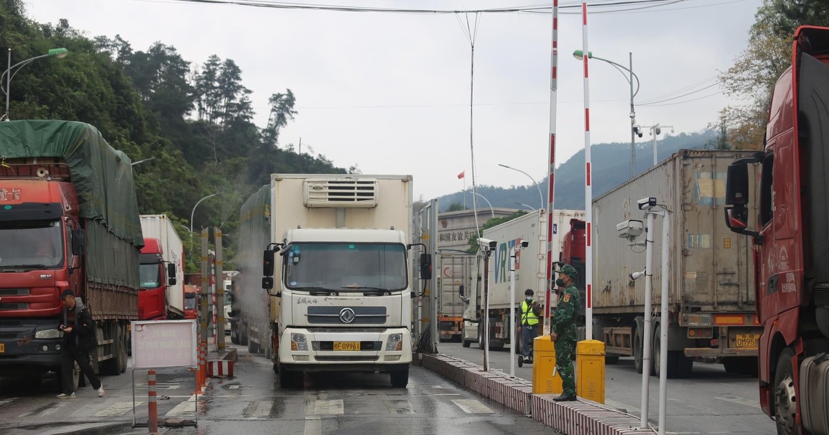 Northern border gates resume simultaneously operation after Tet holiday ...