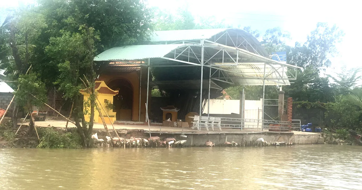 Rạch Bà Cua bị san lấp lấn chiếm | BÁO SÀI GÒN GIẢI PHÓNG