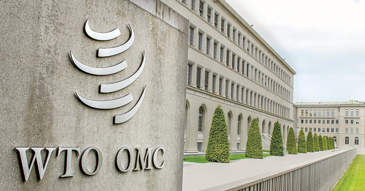 Vì sao các quy tắc của WTO dễ bị biến dạng? | Báo Sài Gòn Đầu Tư Tài Chính