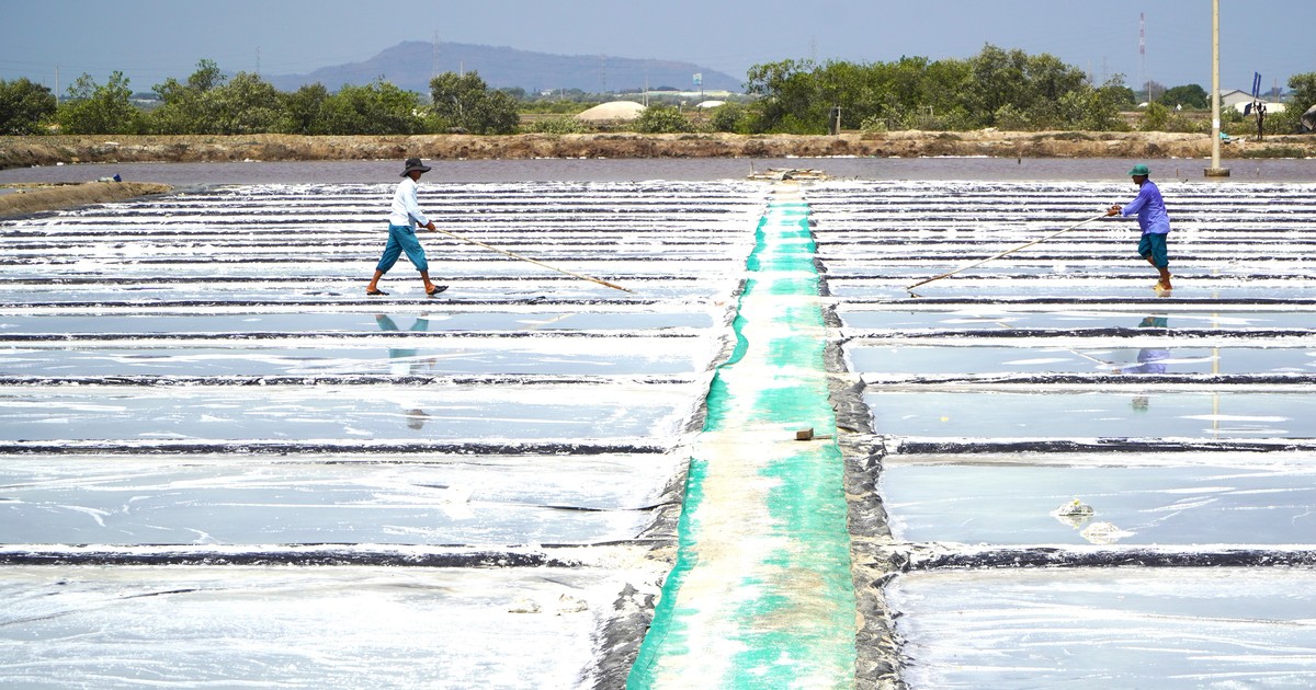 Traditional salt-making villages struggle amid urbanization | SGGP ...