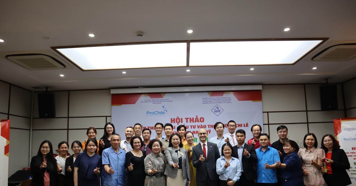 Vietnamese businesses well-positioned to tap into South American market ...