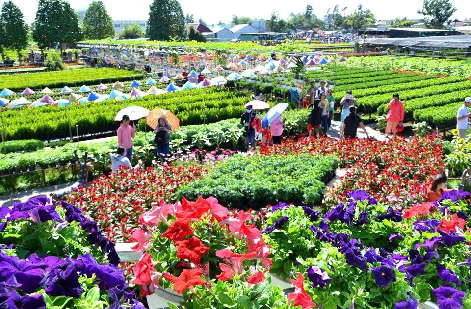 Dong Thap launches logo design contest for Sa Dec flower festivals ...