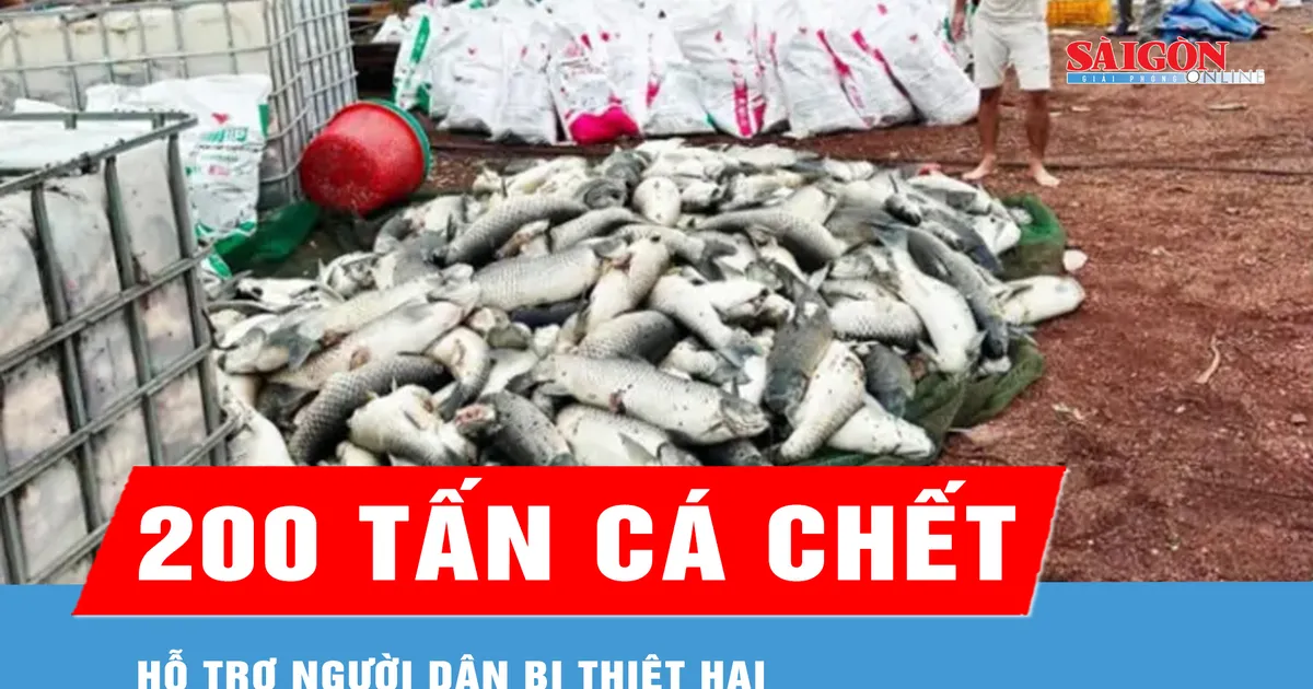 Hỗ trợ người dân bị thiệt hại do cá chết ở hồ Trị An | BÁO SÀI GÒN GIẢI ...