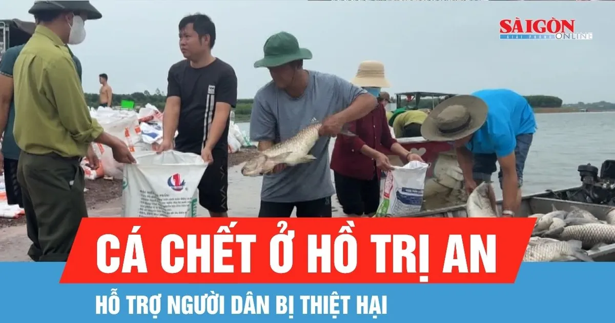 Hỗ trợ người dân bị thiệt hại do cá chết ở hồ Trị An | BÁO SÀI GÒN GIẢI ...