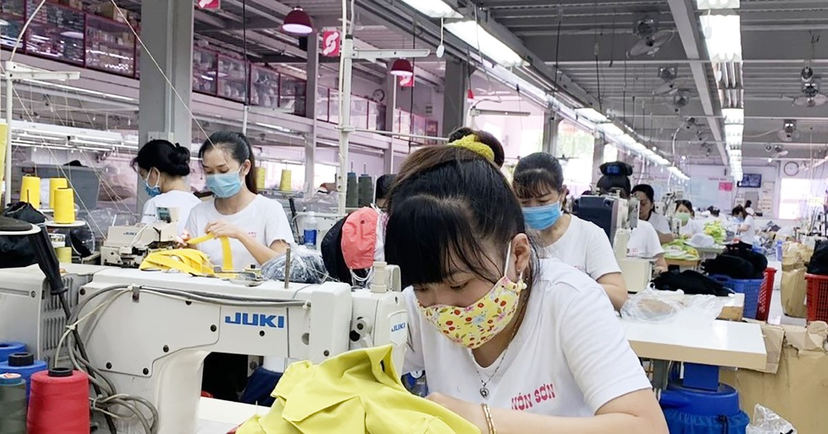 Wage increase boosts motivation for laborers | SGGP English Edition