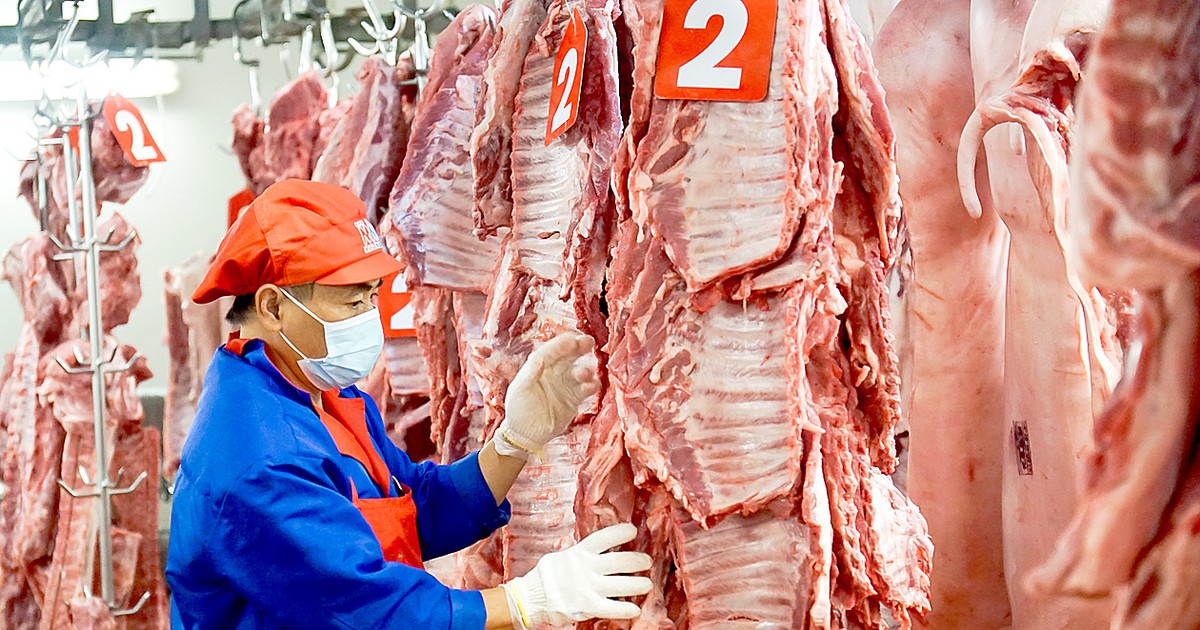 Abundant meat supply, no risk of shortages | SGGP English Edition