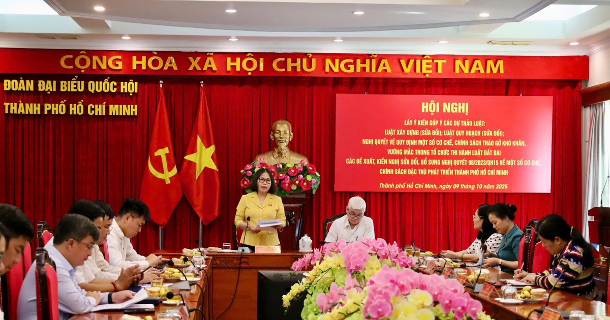 Resolution 98 amendment aims to expand HCMC’s autonomy | SGGP English ...