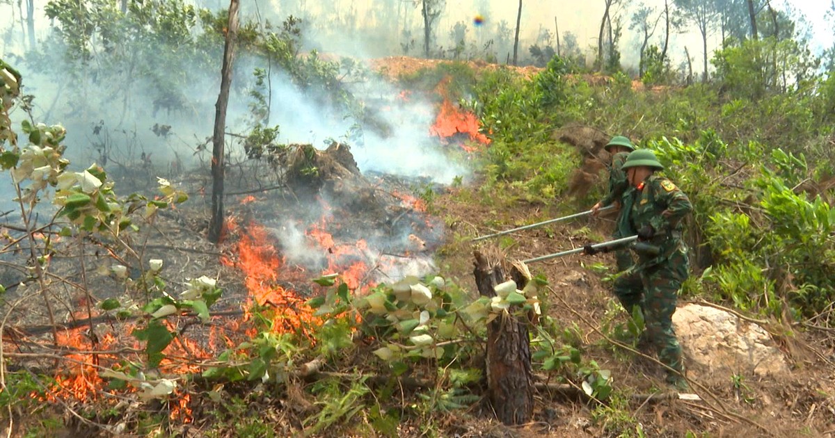 Forest fires contained in Nghe An after two days of firefighting ...