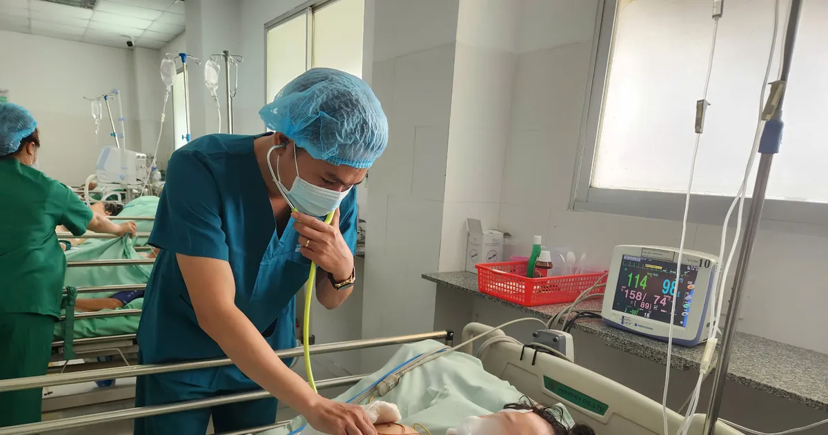 Ho Chi Minh City sets goal to eliminate rabies deaths by 2030 | SGGP ...