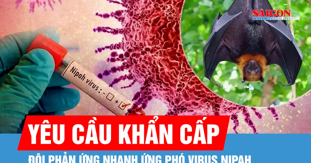 Bộ Y tế yêu cầu khẩn cấp củng cố các đội phản ứng nhanh ứng phó virus ...