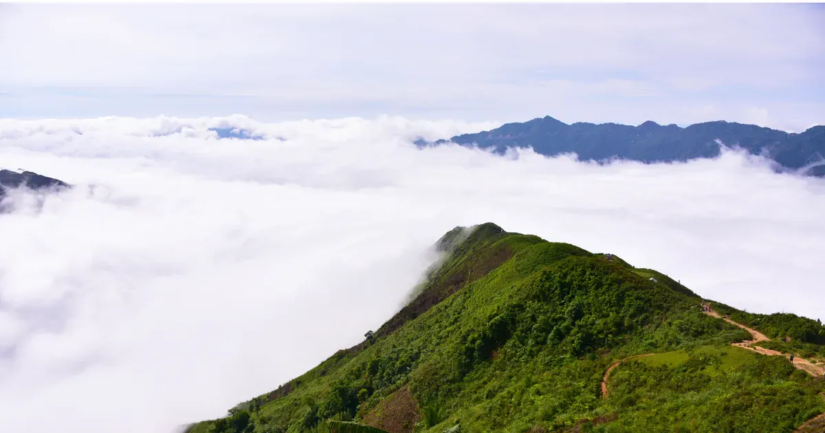 Son La's Ta Xua cloud haven named among must-visit global destinations ...