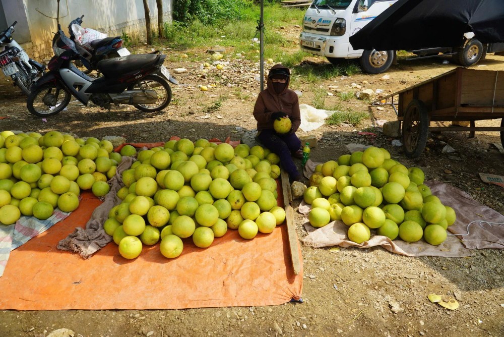 Unique grapefruit market in central province | SGGP English Edition
