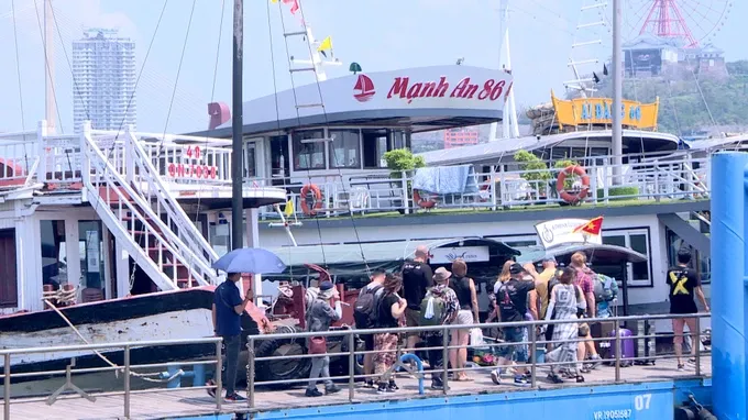 More than 8,600 visitors tour Ha Long Bay after typhoon Yagi | SGGP ...