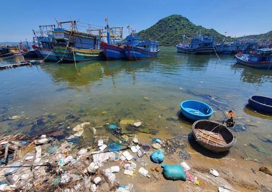 Severe waste pollution at estuaries, fishing ports in Binh Dinh ...