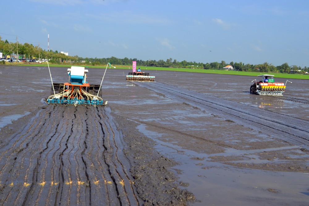 Mekong Delta develops one million hectares of low-emission high-quality ...