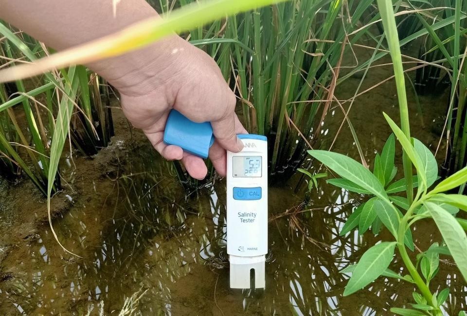 Saltwater intrusion in Southern region hits level 2 | SGGP English Edition