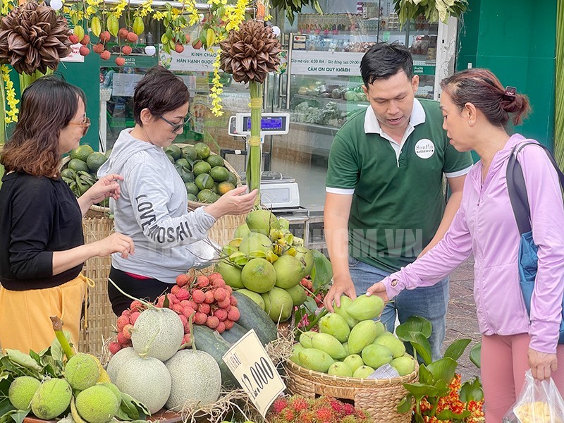 HCMC’s floating fruit market opens in District 8 | SGGP English Edition